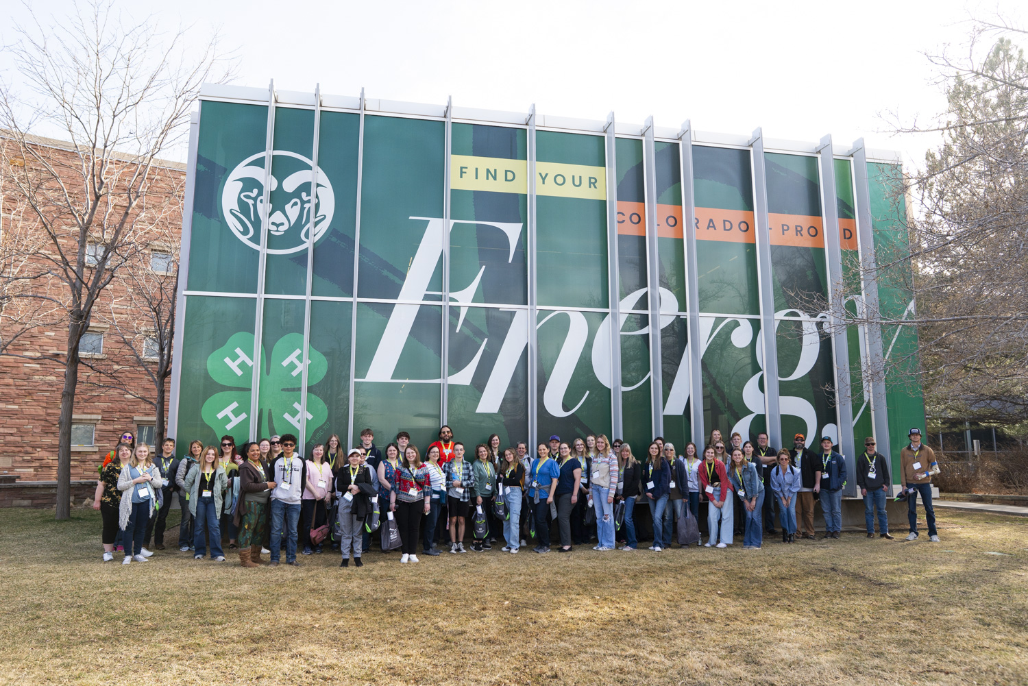 Programs & Projects | Colorado 4-H