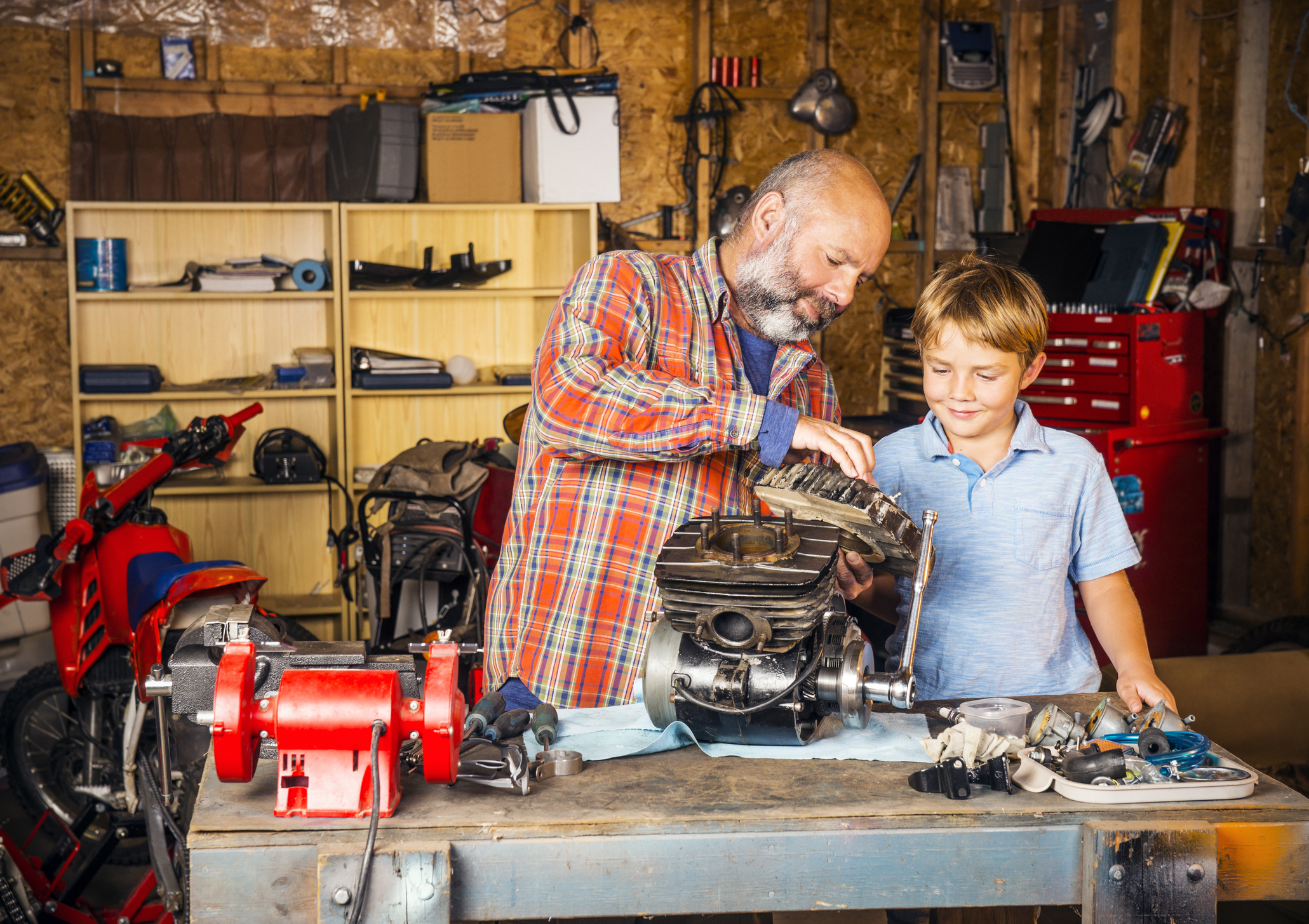 Small Engines Project | Colorado 4-H